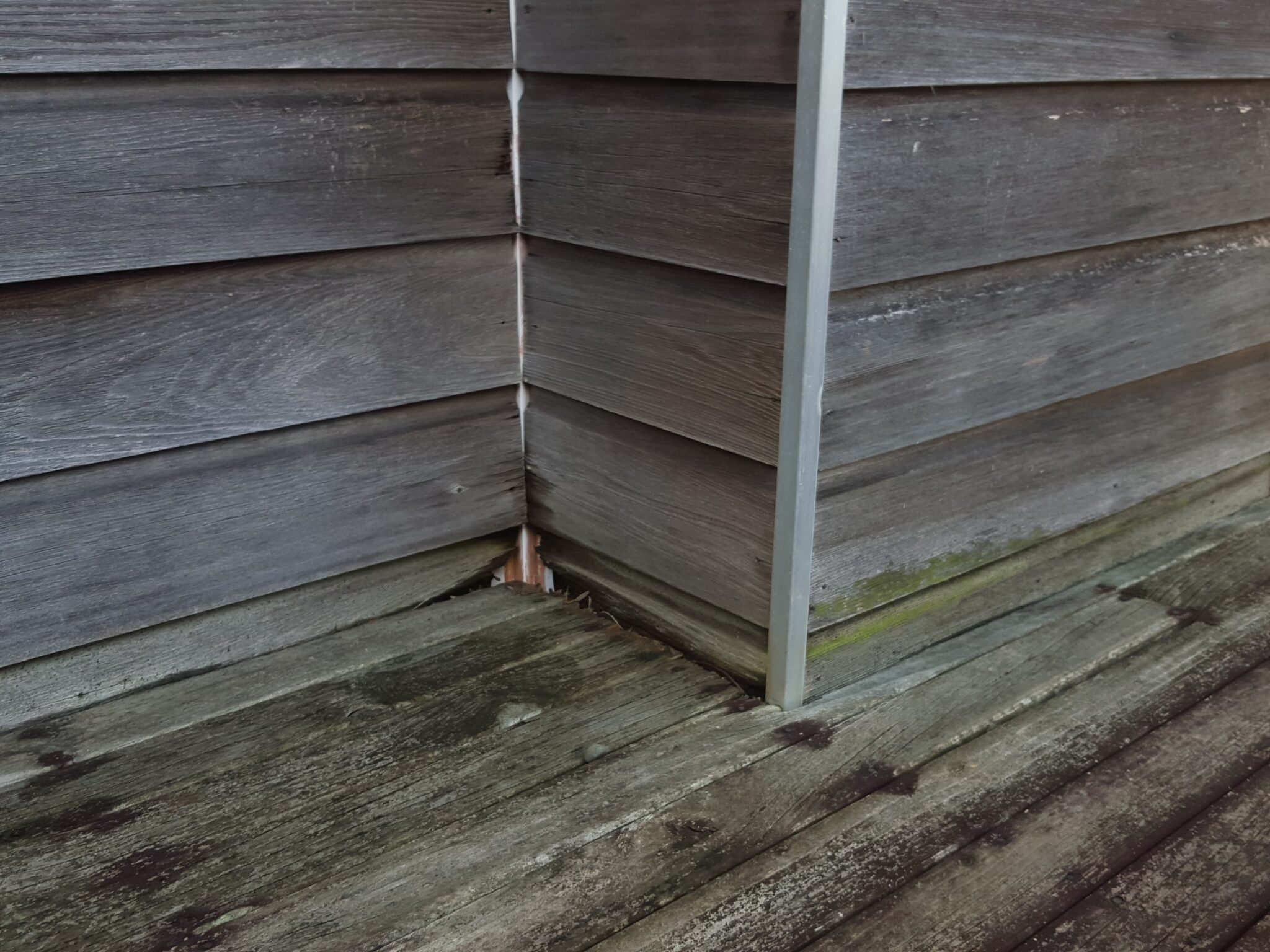 Understanding What is Happening with Your Cedar Cladding - Cedar Doctor